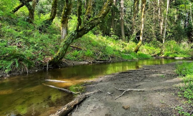 Penny Creek - SnoKing Watershed Council